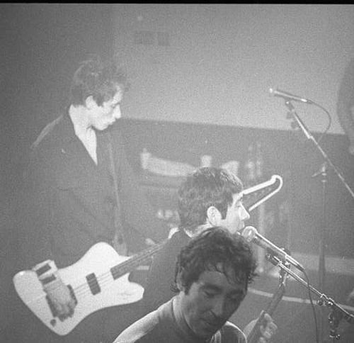 Touring Bands - BuZZcocks
